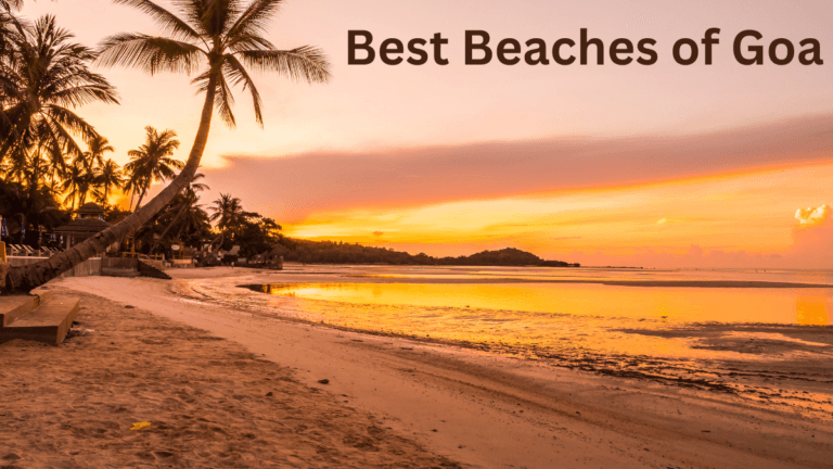 Best Beaches In Goa: Exploring India's Coastal Gems