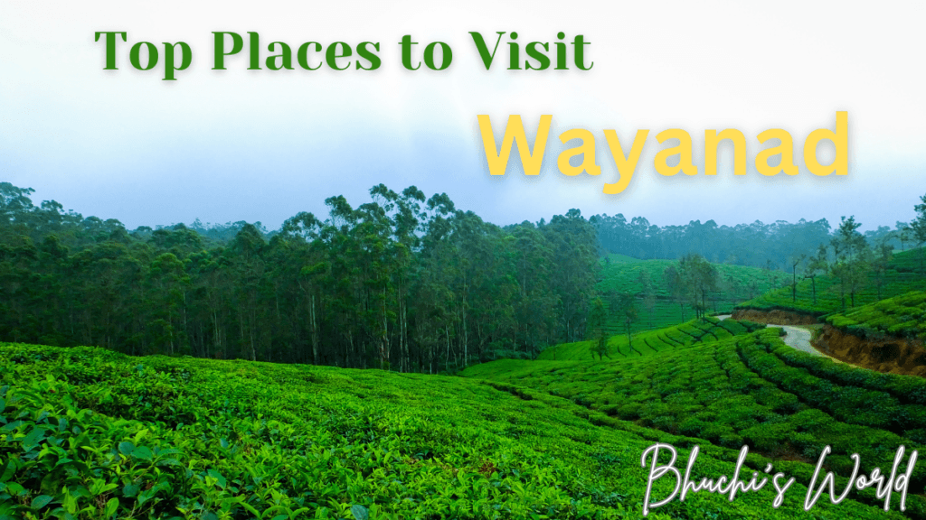 Top 10 Best Places To Visit In Wayanad – Top Attractions