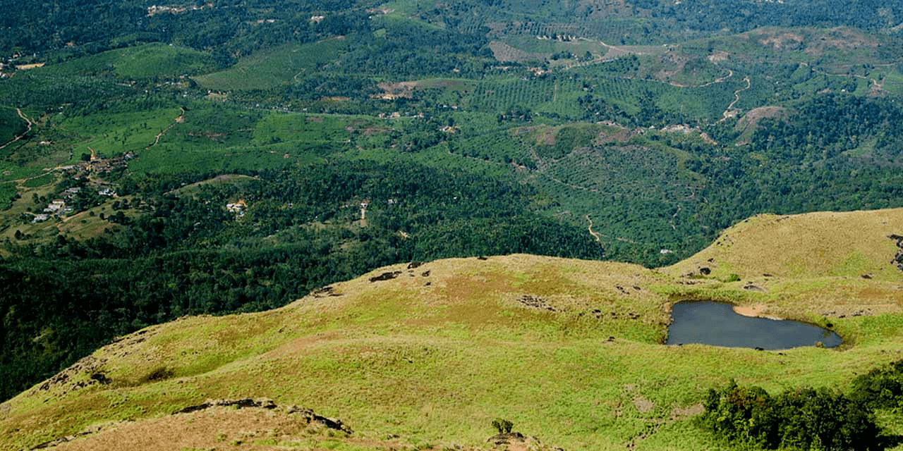 Top 10 Best Places To Visit In Wayanad – Top Attractions